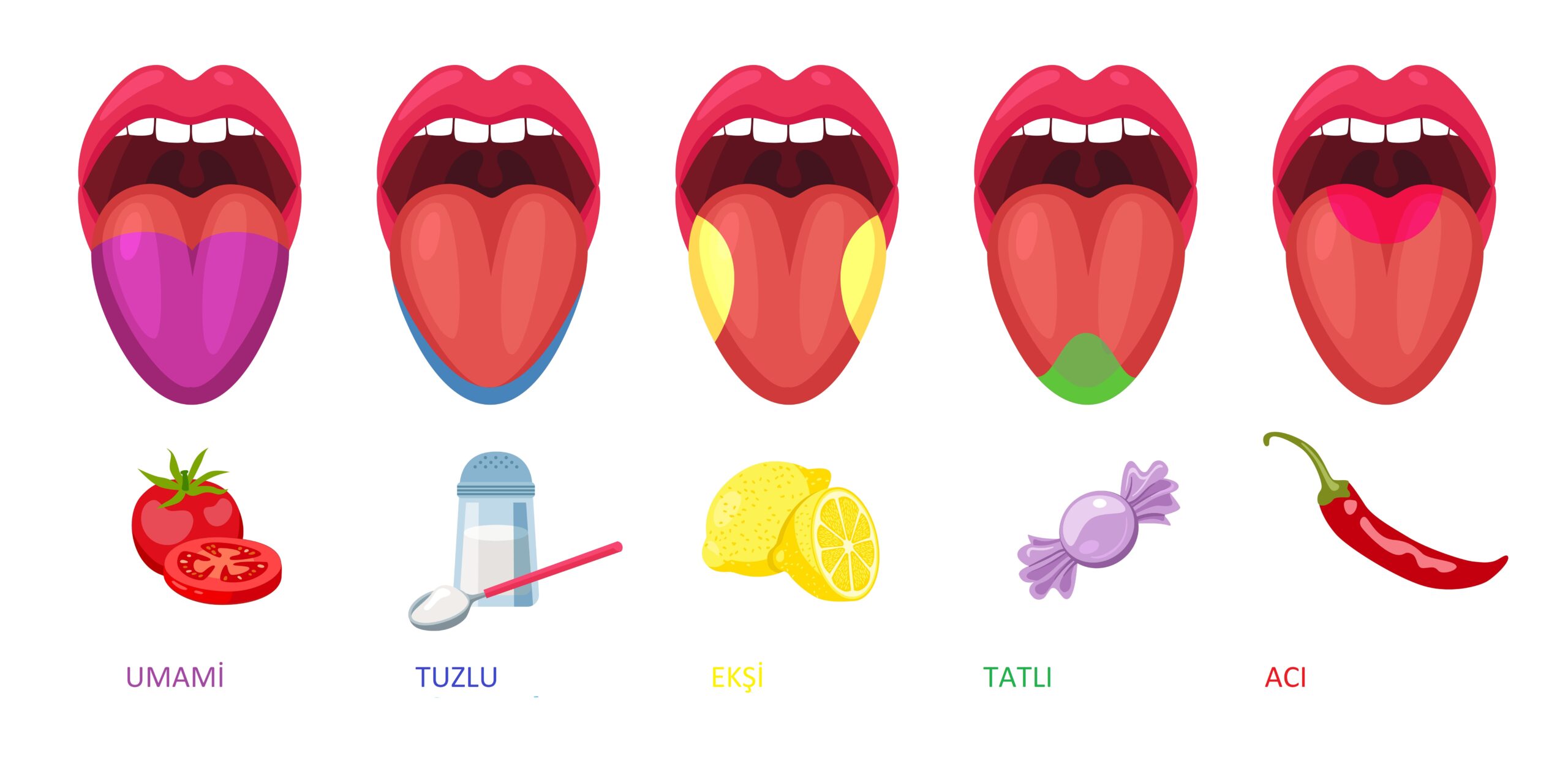 ¿Qué es Umami? ¿En qué alimentos se encuentra? ¿Cuál es la diferencia ... ¿Qué es Umami? ¿En qué alimentos se encuentra? ¿Cuál es la diferencia ...